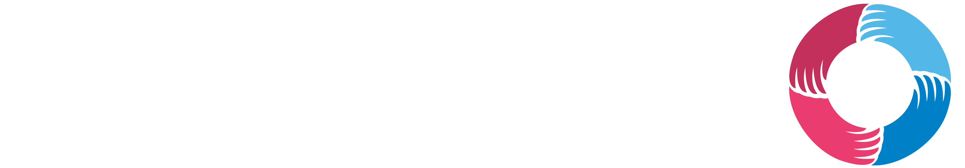 Infrastructure Management – V-dot systems